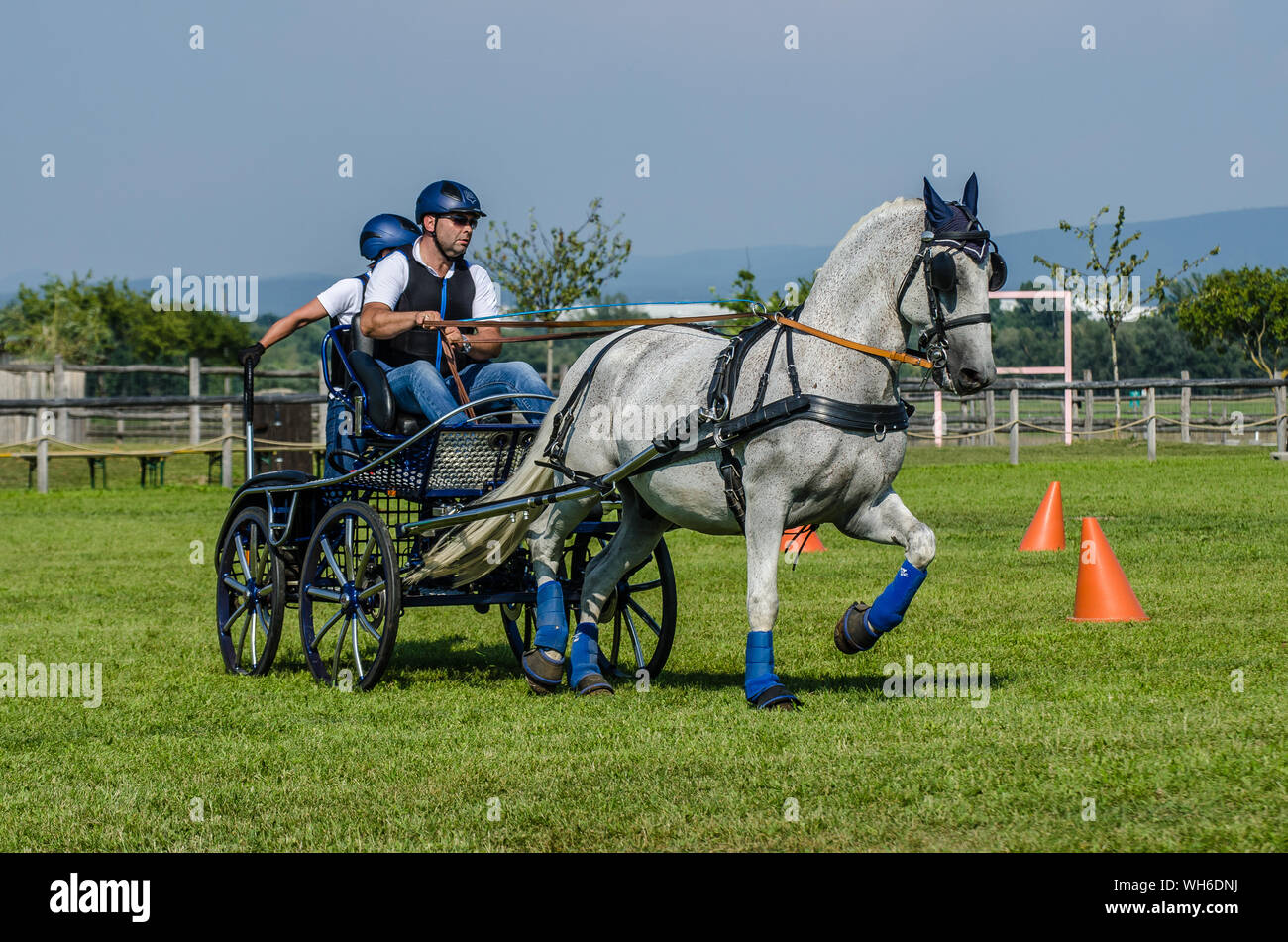Great Equestrian Show at Schloss Hof. They demonstrate their artistic ...