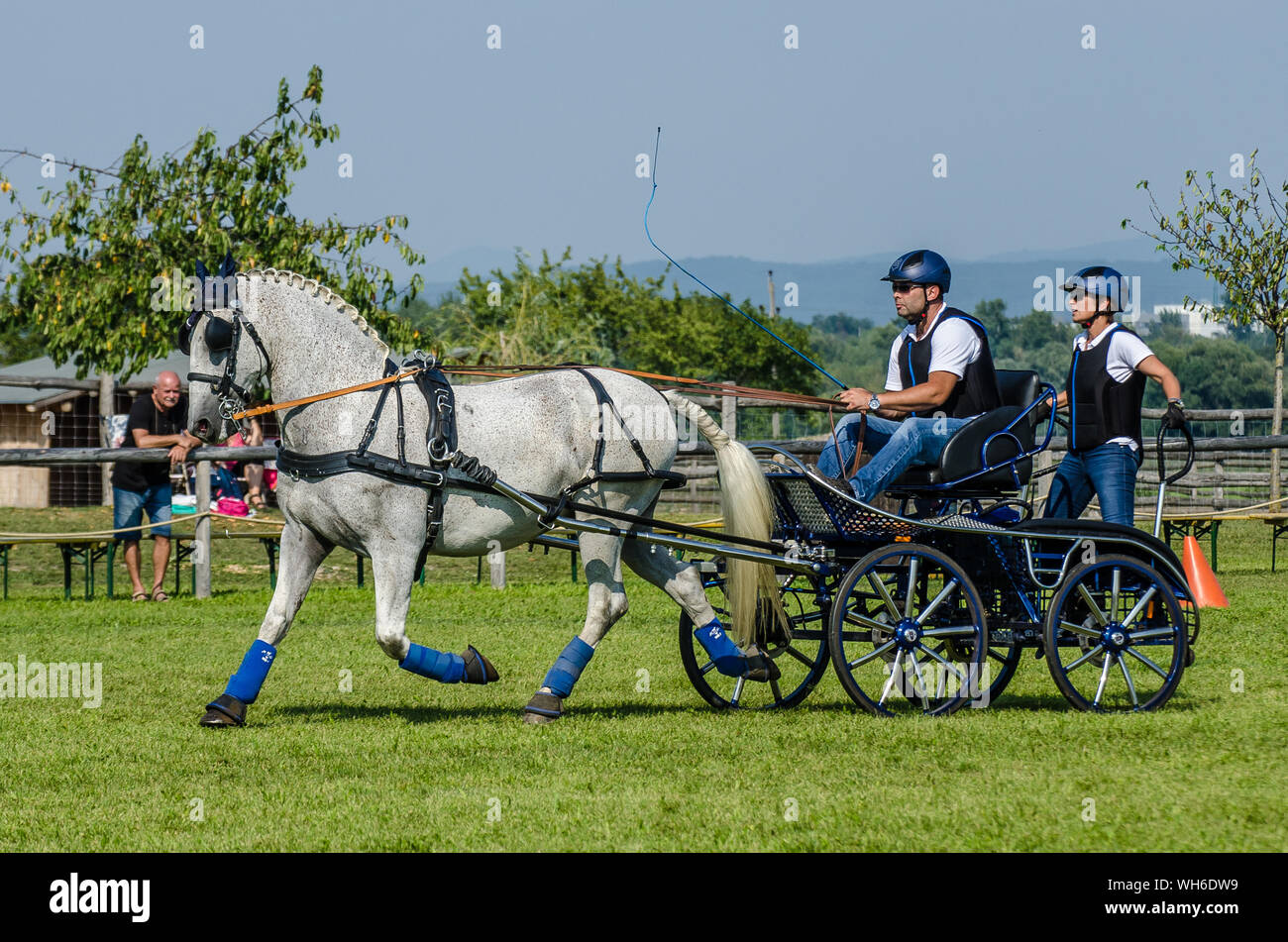 Great Equestrian Show at Schloss Hof. They demonstrate their artistic ...