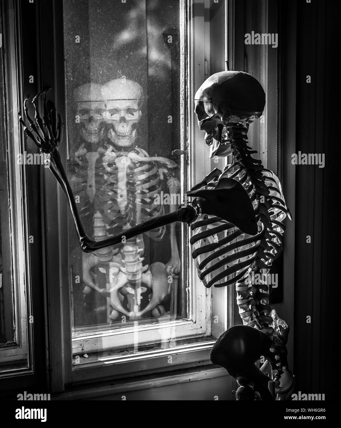 Reflection skeleton hi-res stock photography and images - Alamy