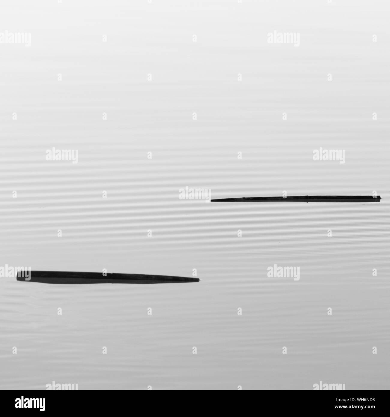 Black markings hi-res stock photography and images - Alamy