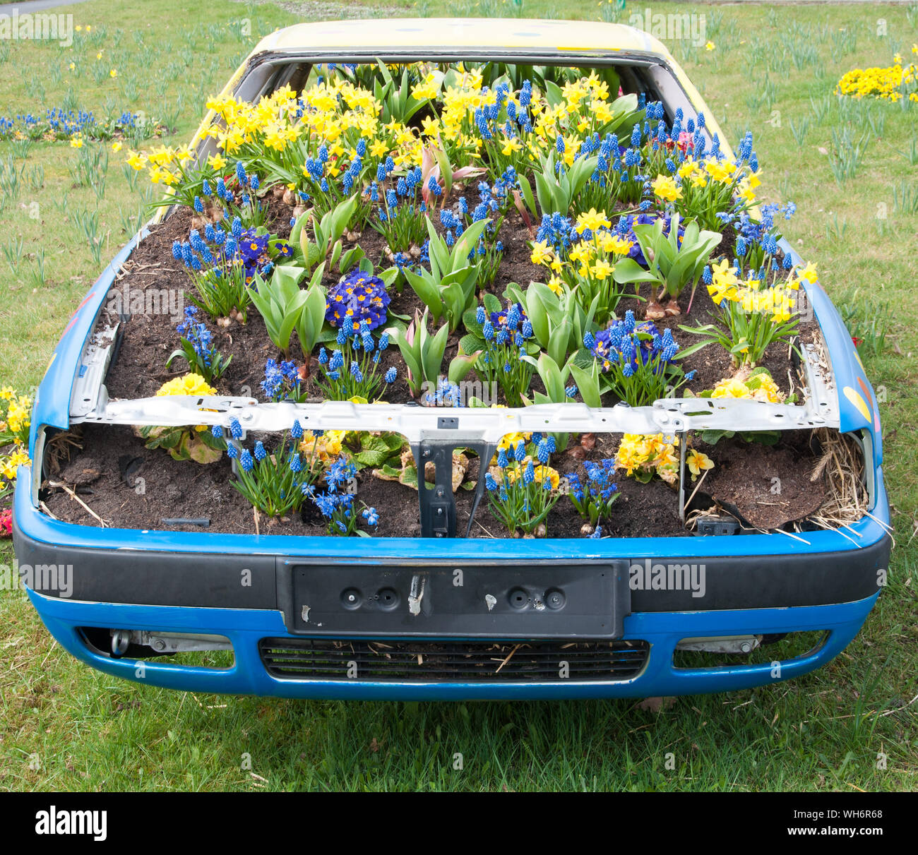 Car in plants hi-res stock photography and images - Alamy