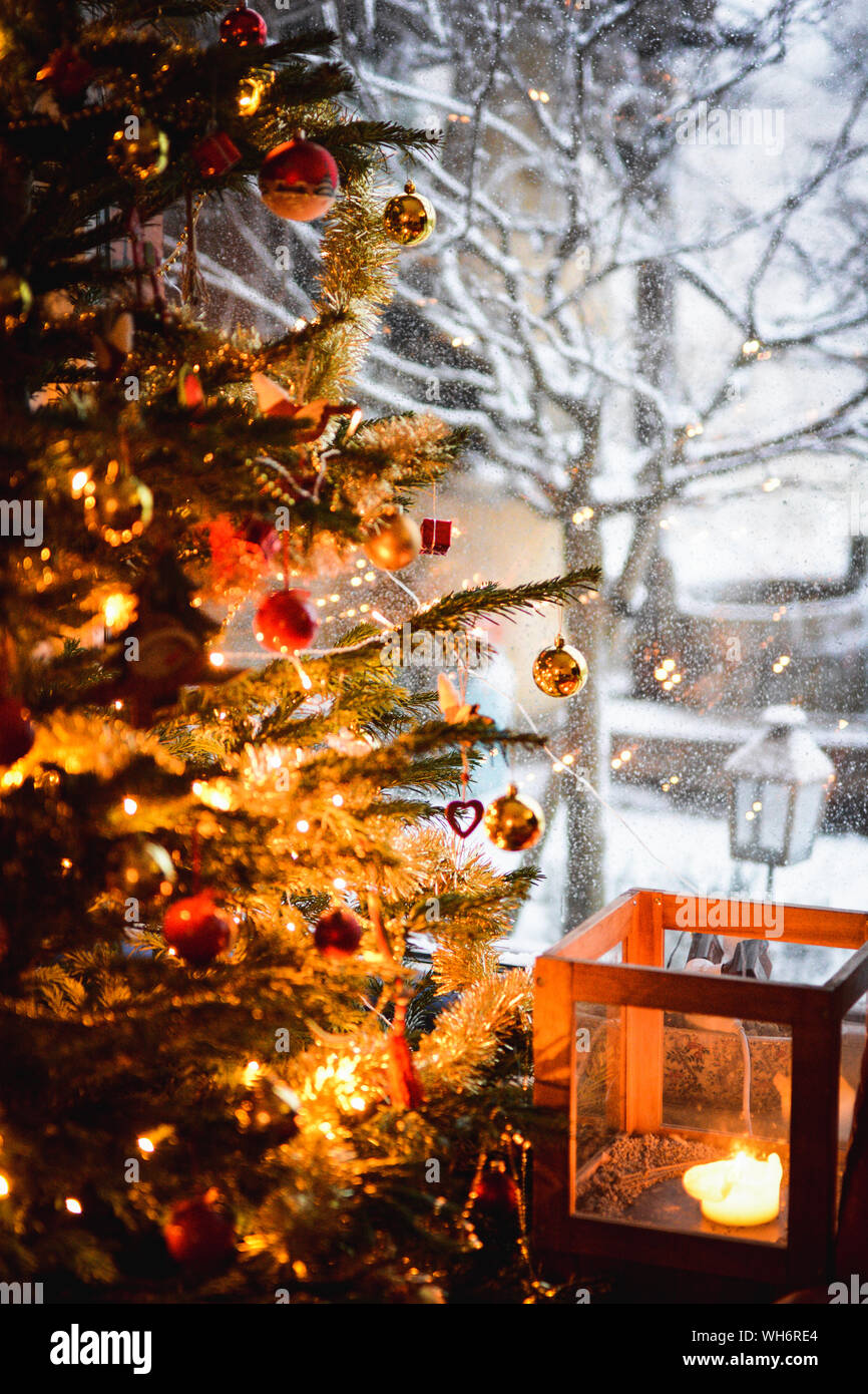 Christmas lit tree hi-res stock photography and images - Alamy