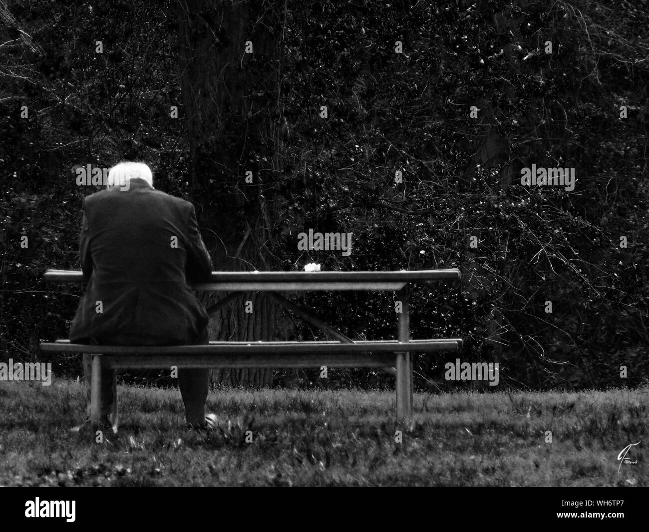 Man sitting bench rear view Black and White Stock Photos & Images - Alamy