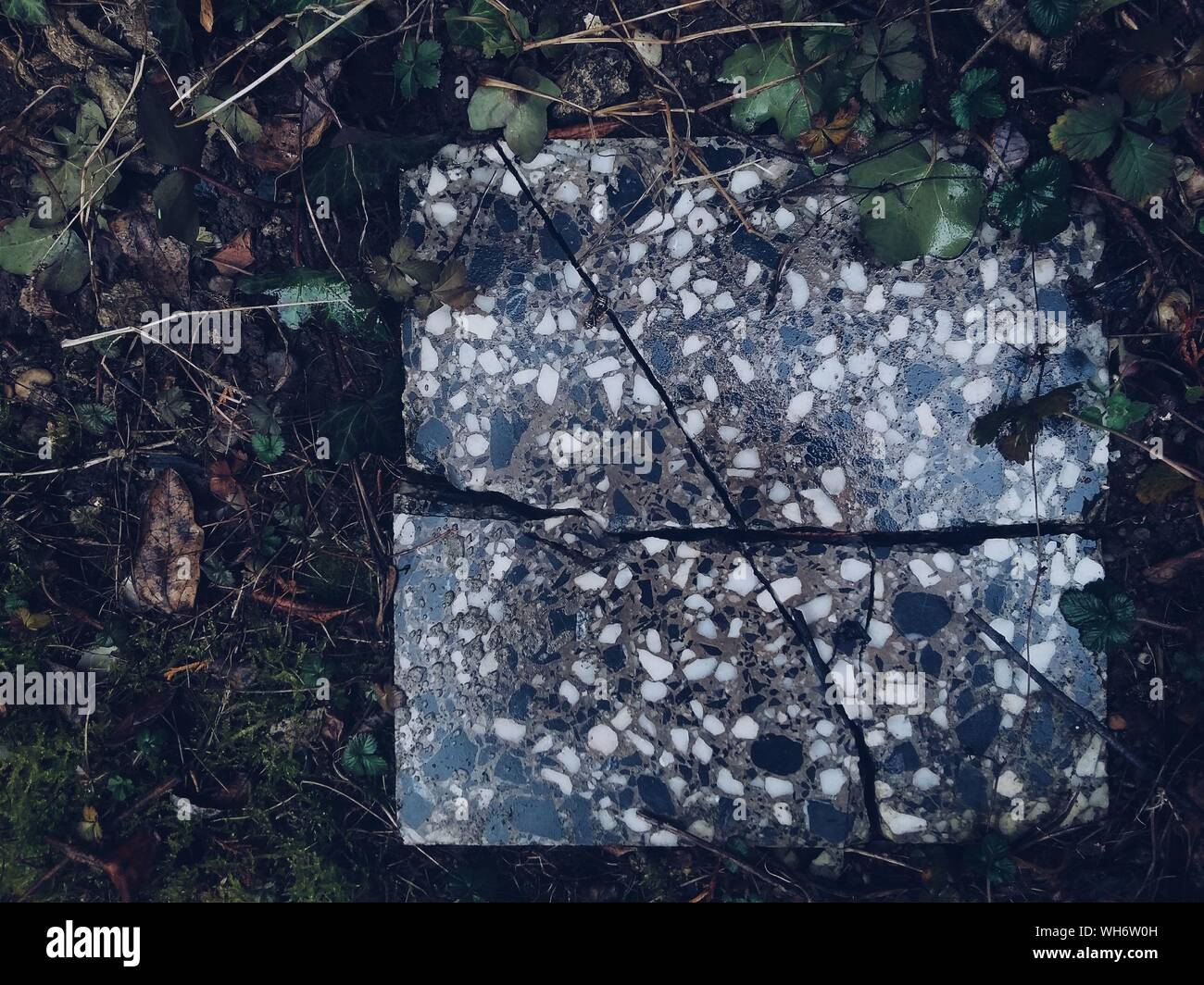 Tile field hi-res stock photography and images - Alamy