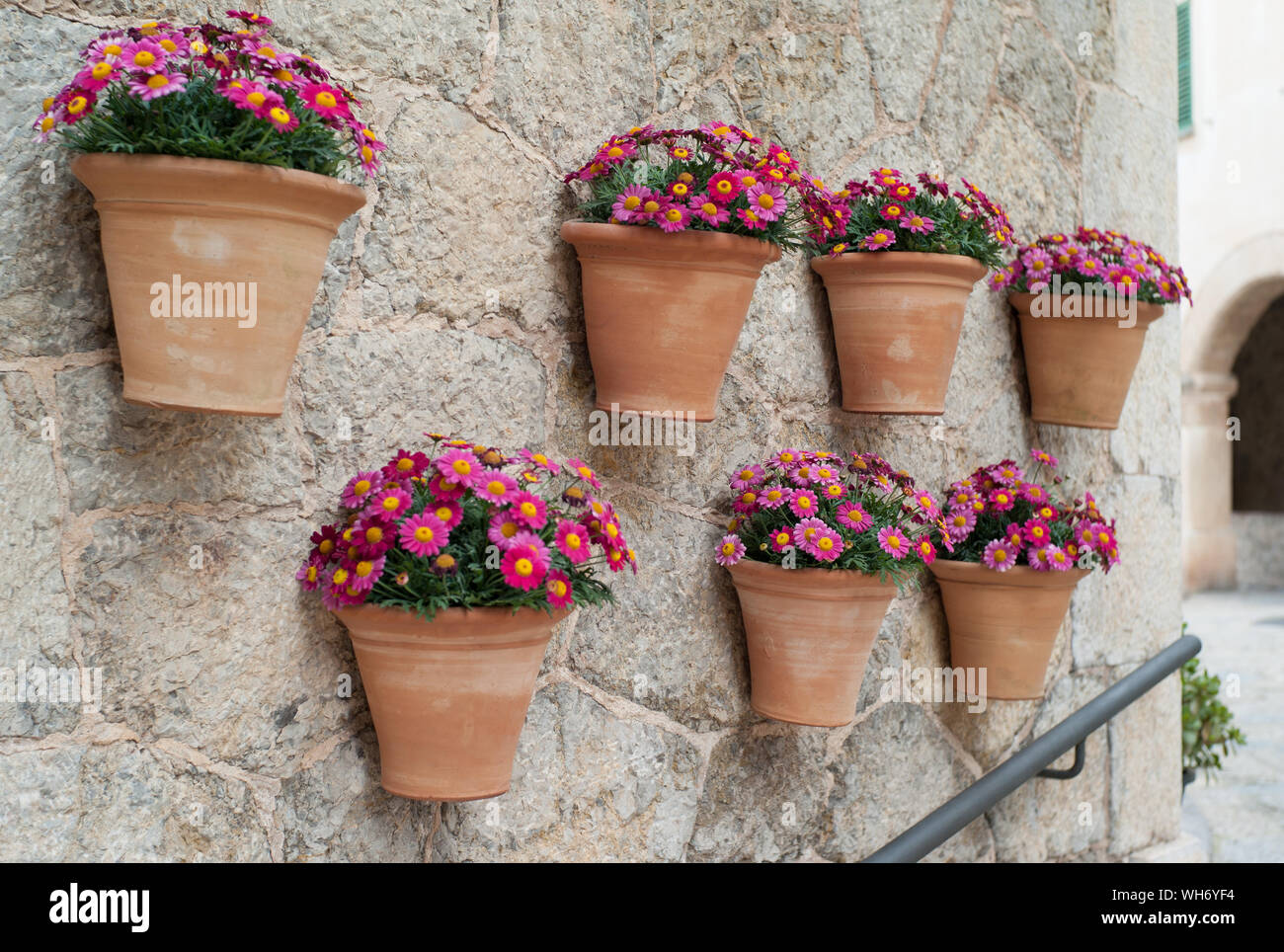 Growing flowers in pots hi-res stock photography and images - Alamy