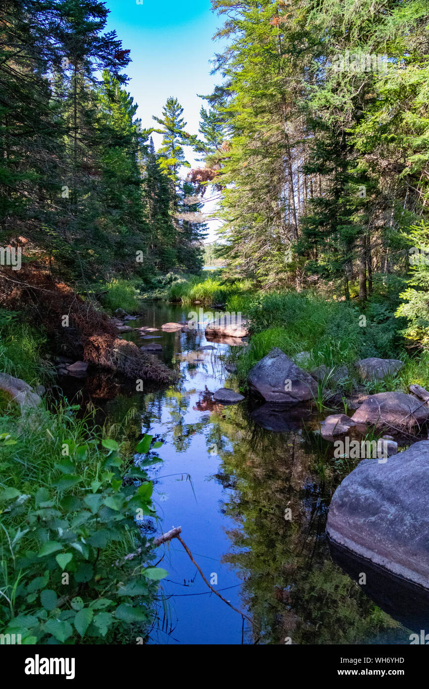 Creek landscape with trees and rocks on Mizzy Lake Trail Stock Photo ...