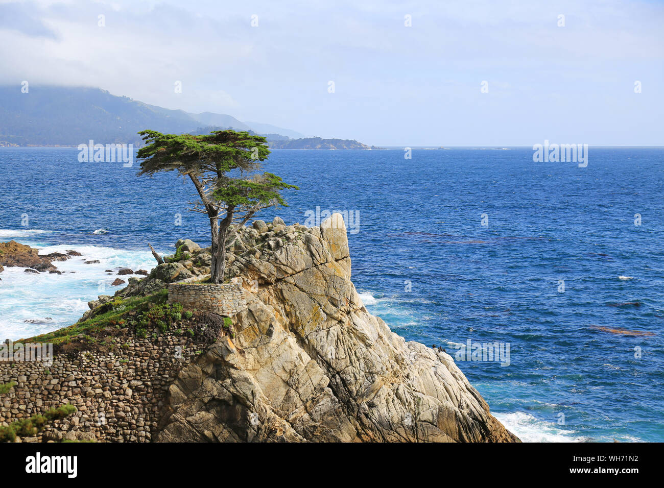 Tree cliff sea hi-res stock photography and images - Alamy