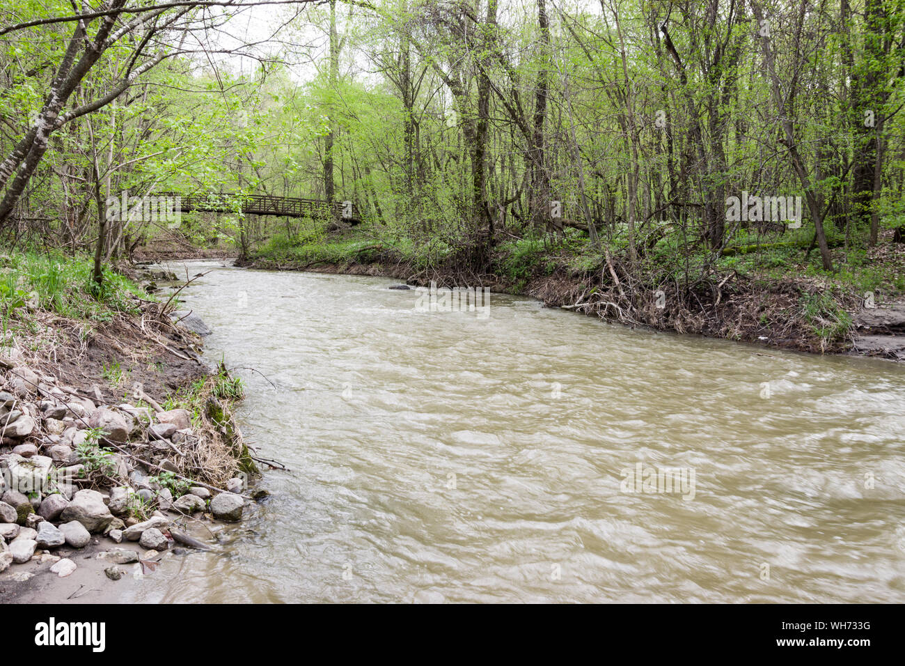 Seven mile bridge tree hi-res stock photography and images - Alamy