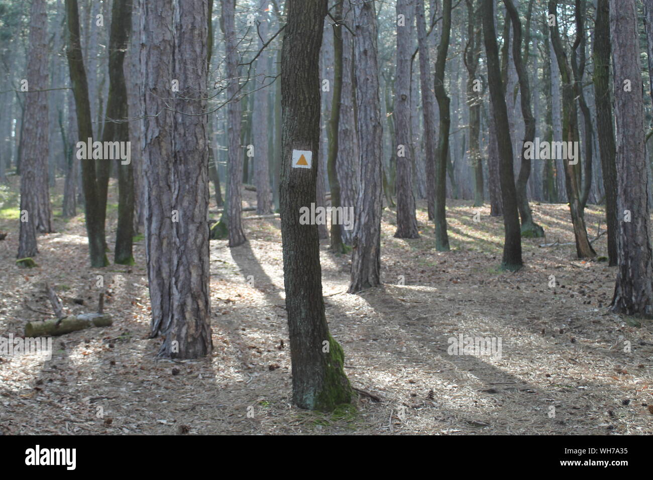 Marking in color hi-res stock photography and images - Alamy
