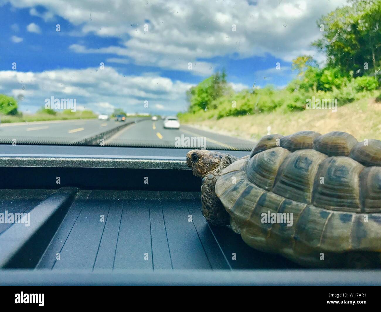 Vehicle dashboard hi-res stock photography and images - Alamy