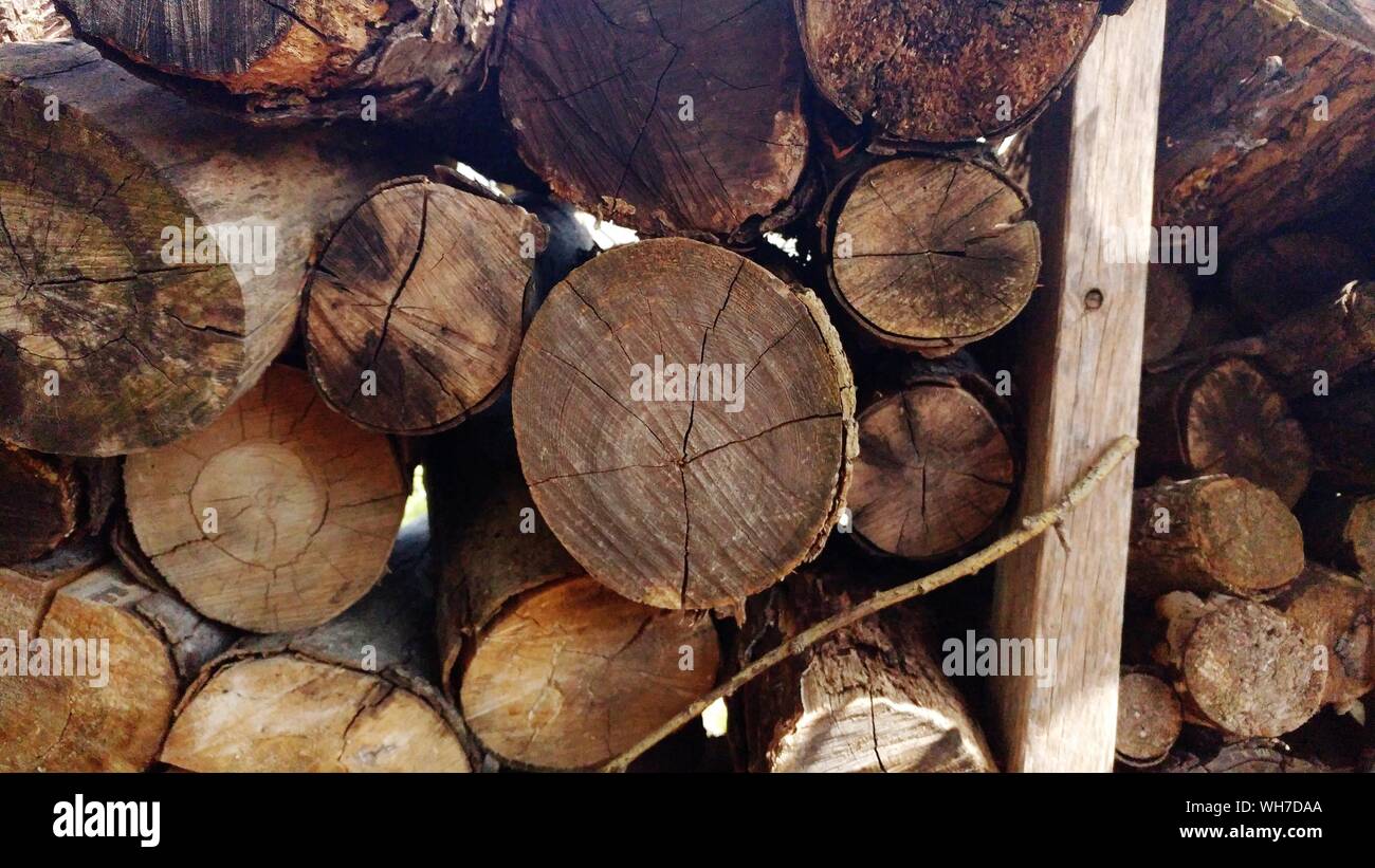 Pile of log hi-res stock photography and images - Alamy