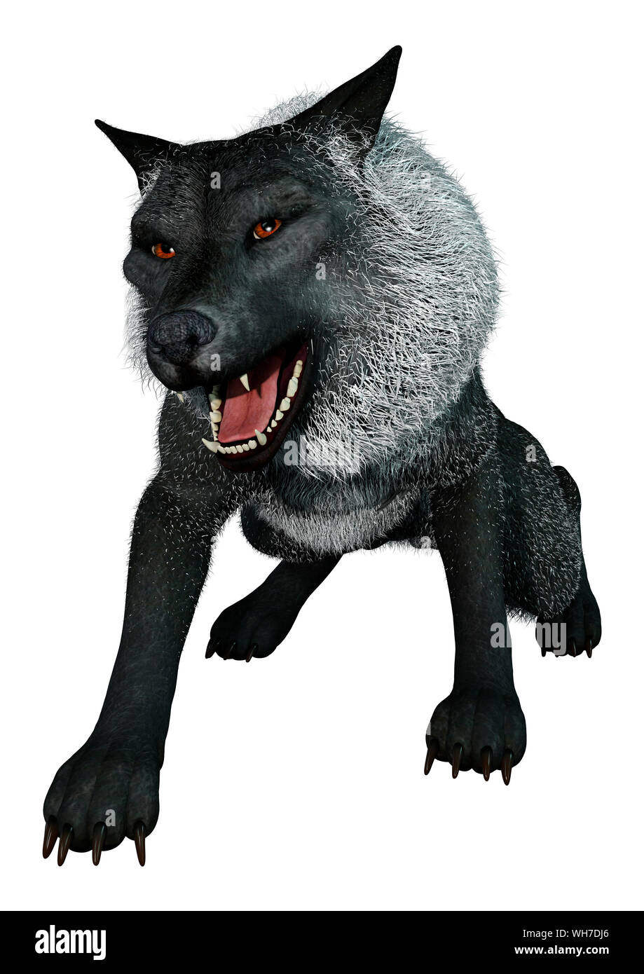 3D rendering of a black wolf isolated on white background Stock Photo ...