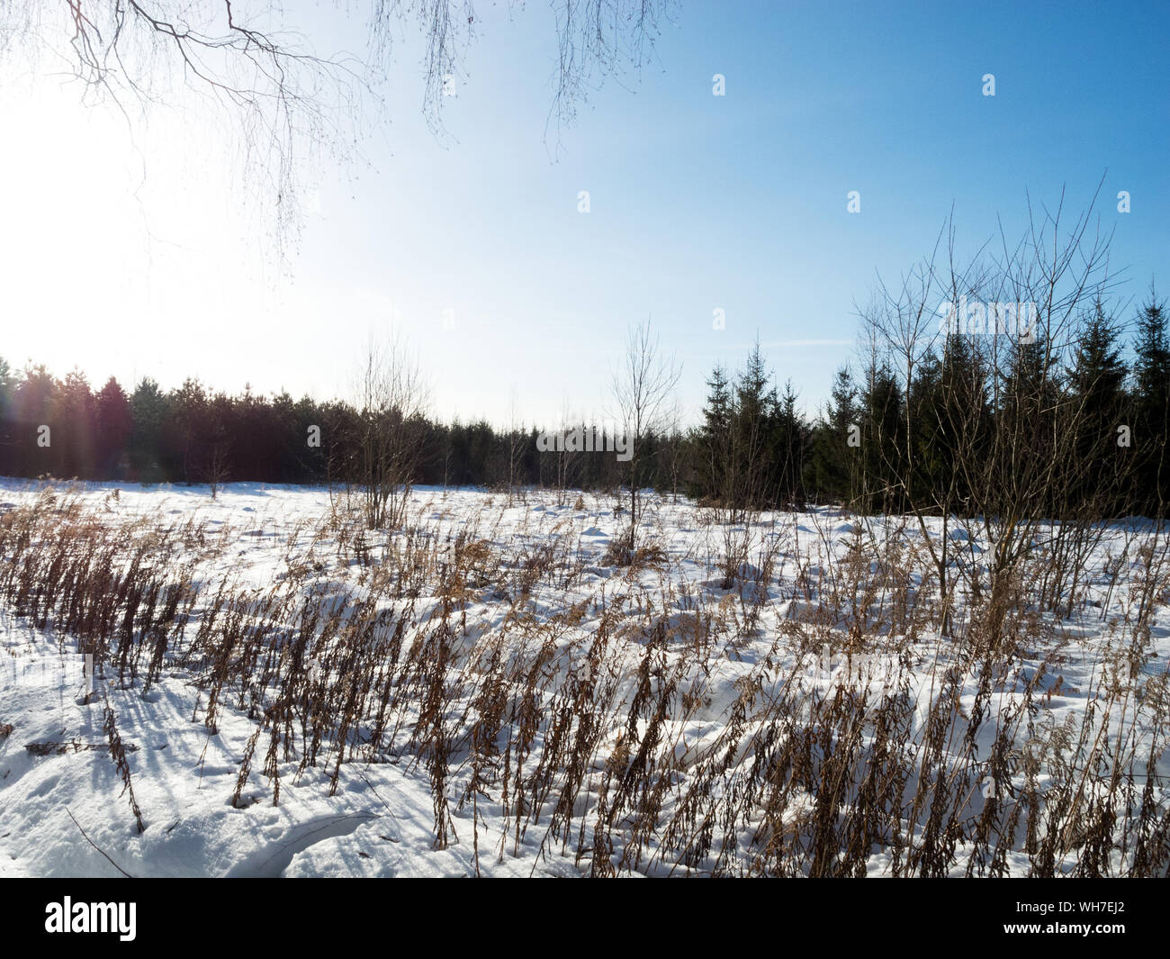 Grass covered in snow hi-res stock photography and images - Alamy