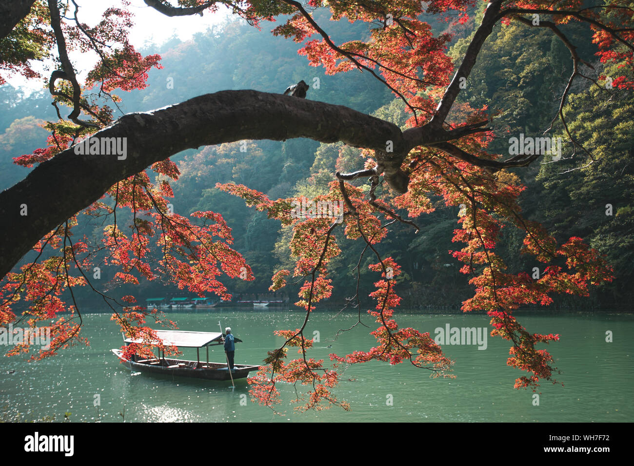 Tree Over Lake During Autumn Stock Photo - Alamy