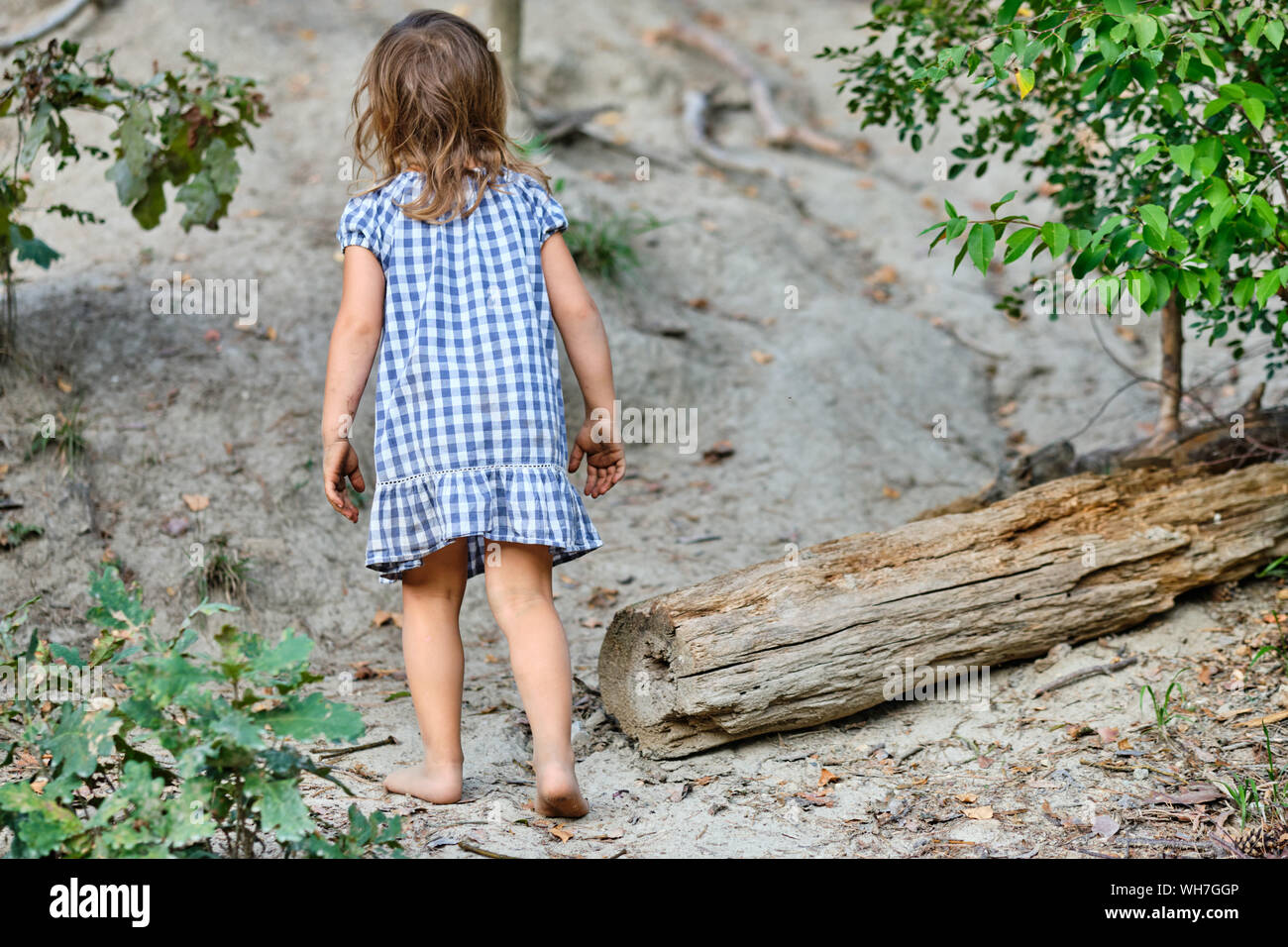 Rear view of a barefooted child girl in a summer dress walking in the ...