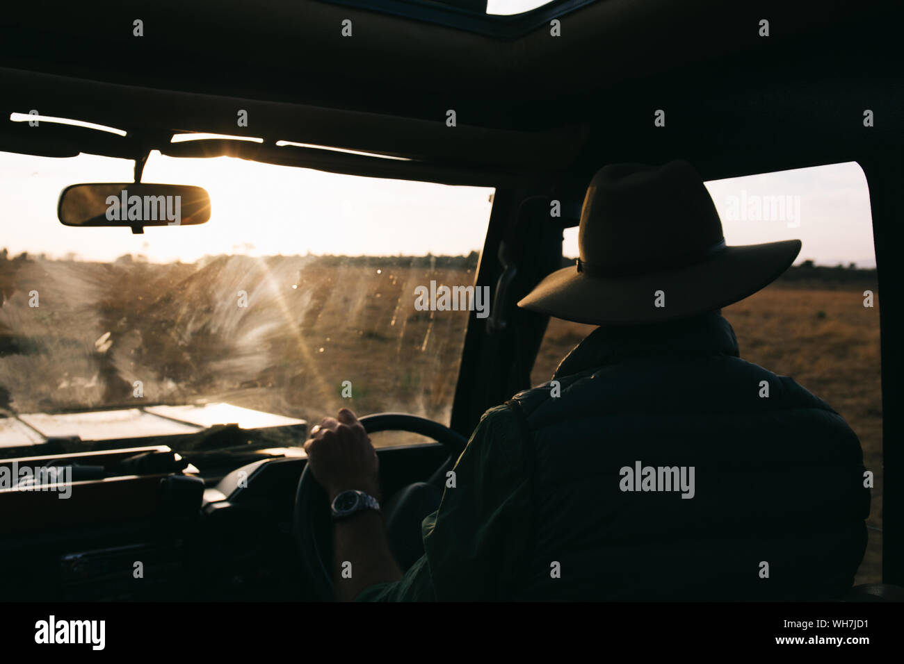 Safari interior hi-res stock photography and images - Alamy