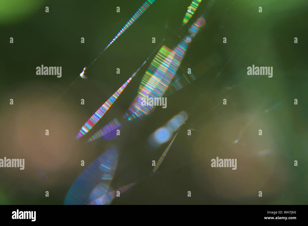 Abstract motion blurred hi-res stock photography and images - Alamy