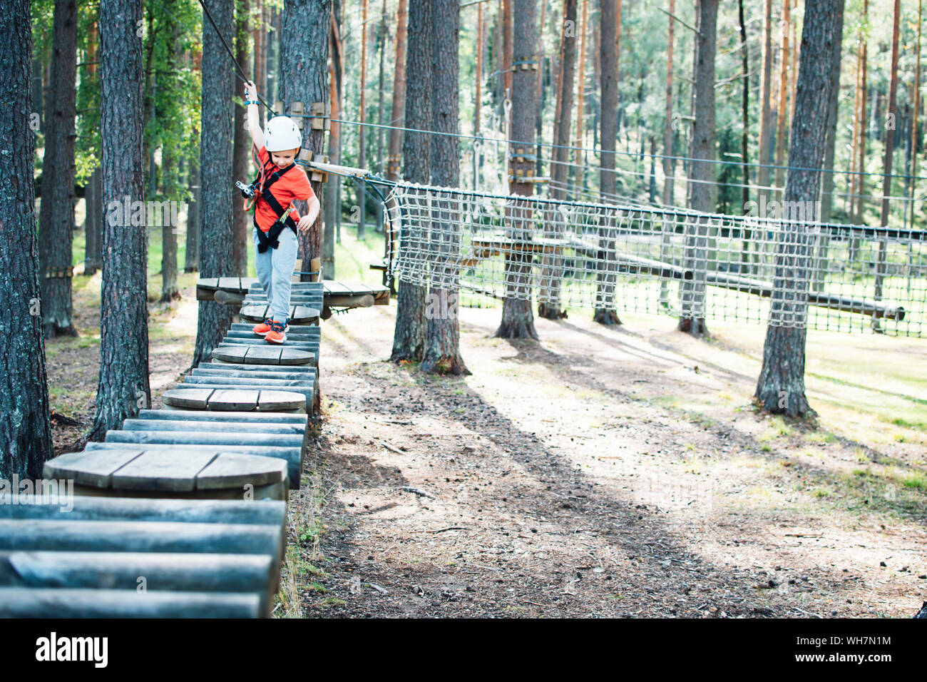 Little boy with climbing gear climbing rope trail between pine trees in ...