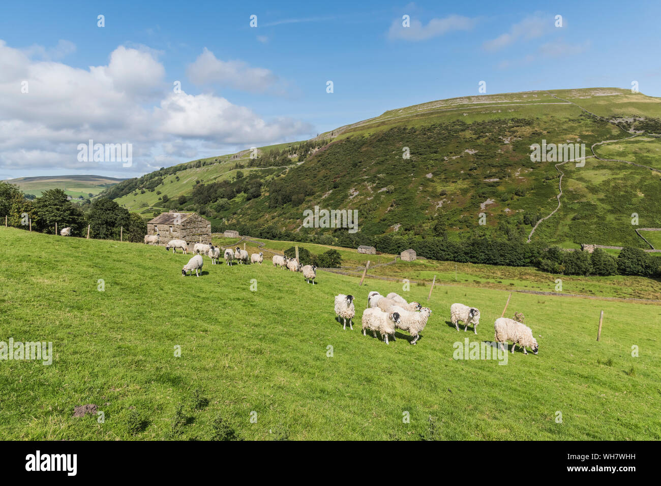 Dales scenic landscapes hi-res stock photography and images - Alamy