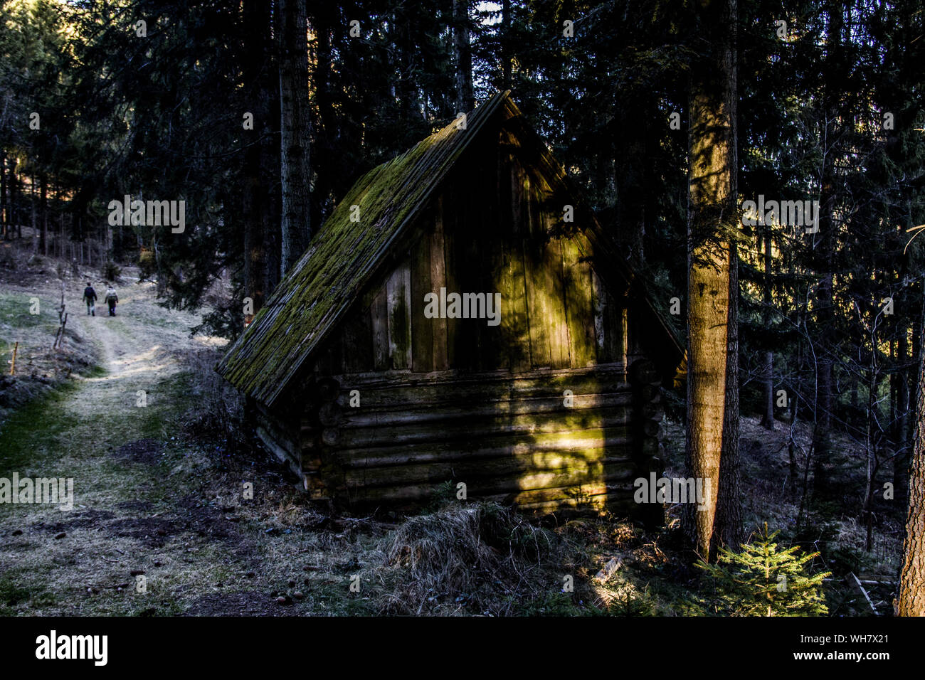 Log Cabin Forest High Resolution Stock Photography and Images - Alamy