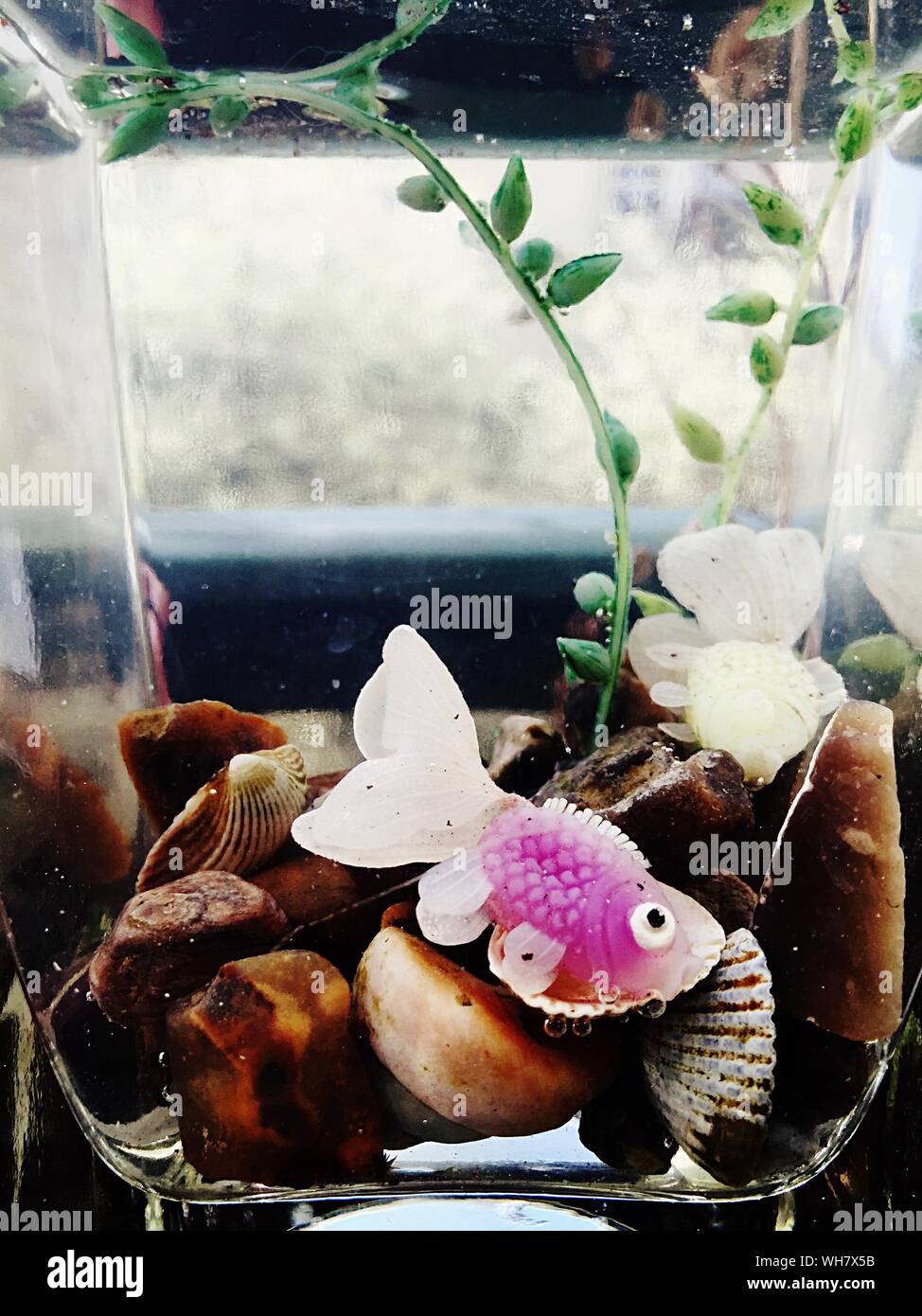 Artificial tank hi-res stock photography and images - Alamy