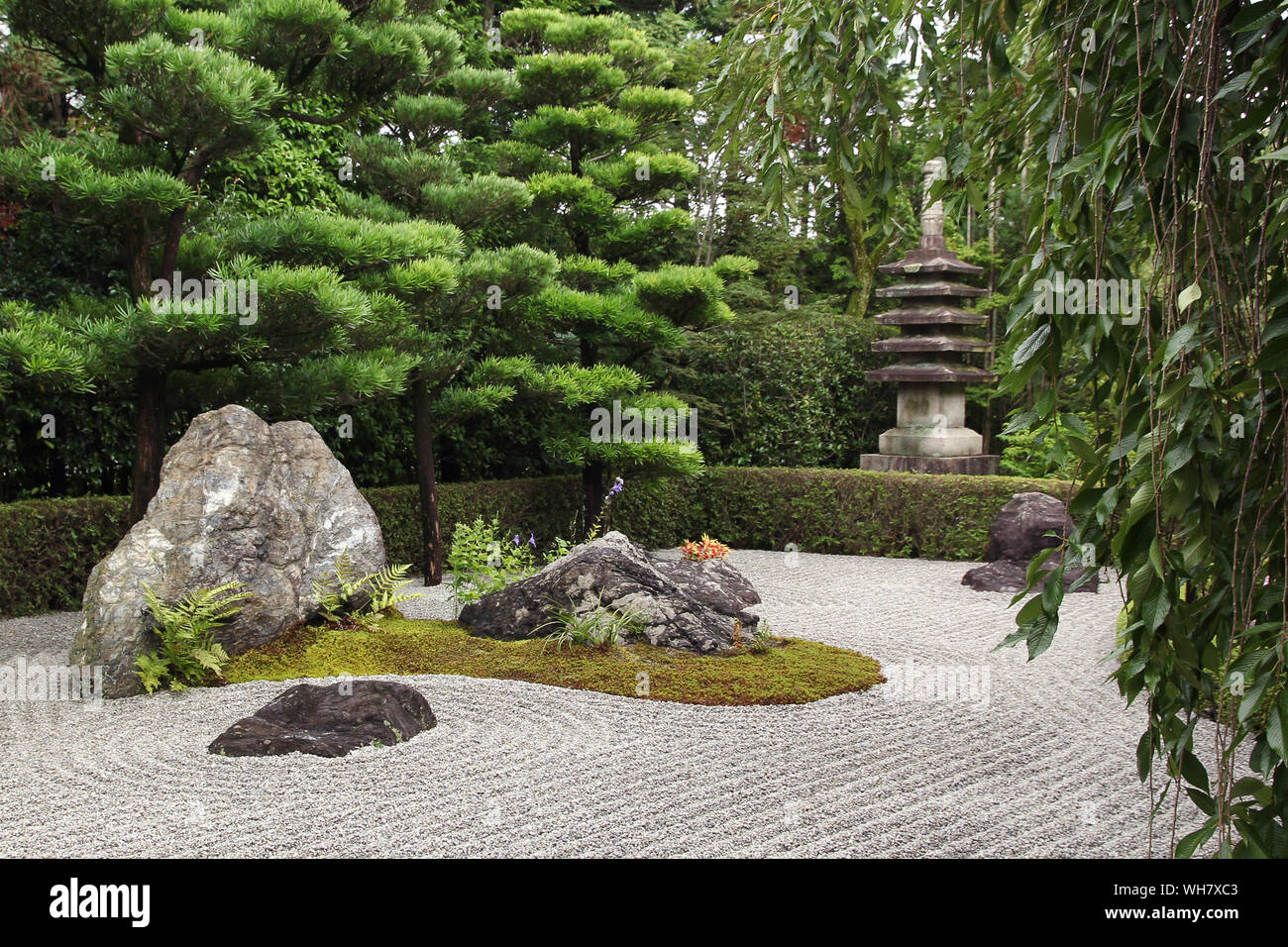 Japanese zen garden in Kyoto (Taizo-in Stock Photo - Alamy