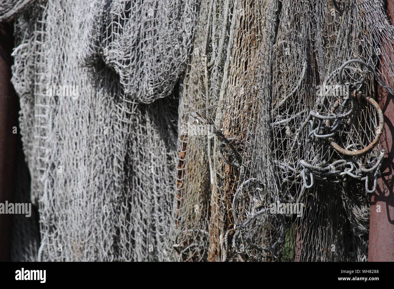 Tangled Net High Resolution Stock Photography and Images - Alamy