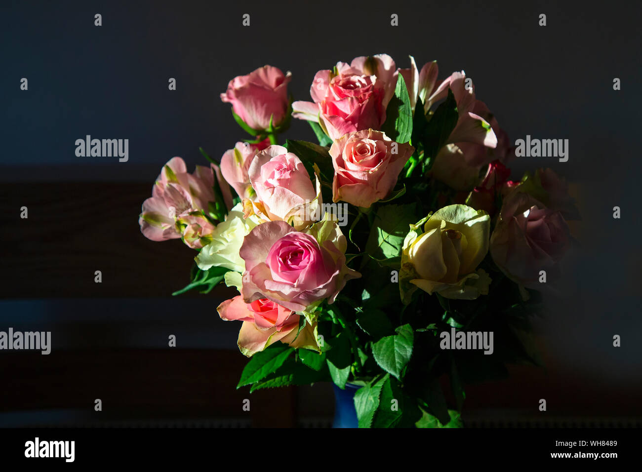 Diffuse lighting on flowers hi-res stock photography and images - Alamy