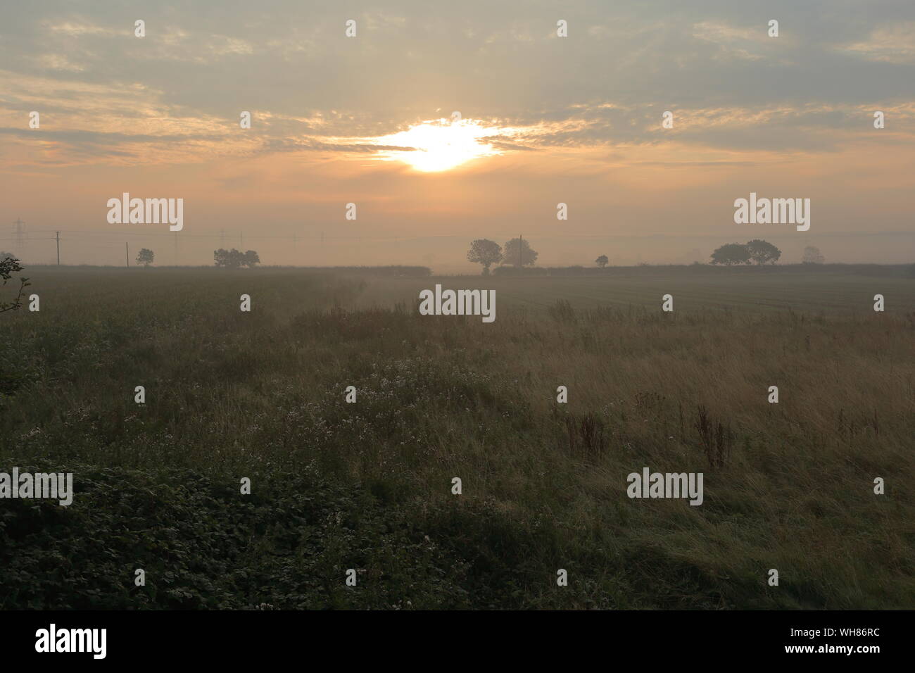 Greenfield plots hi-res stock photography and images - Alamy