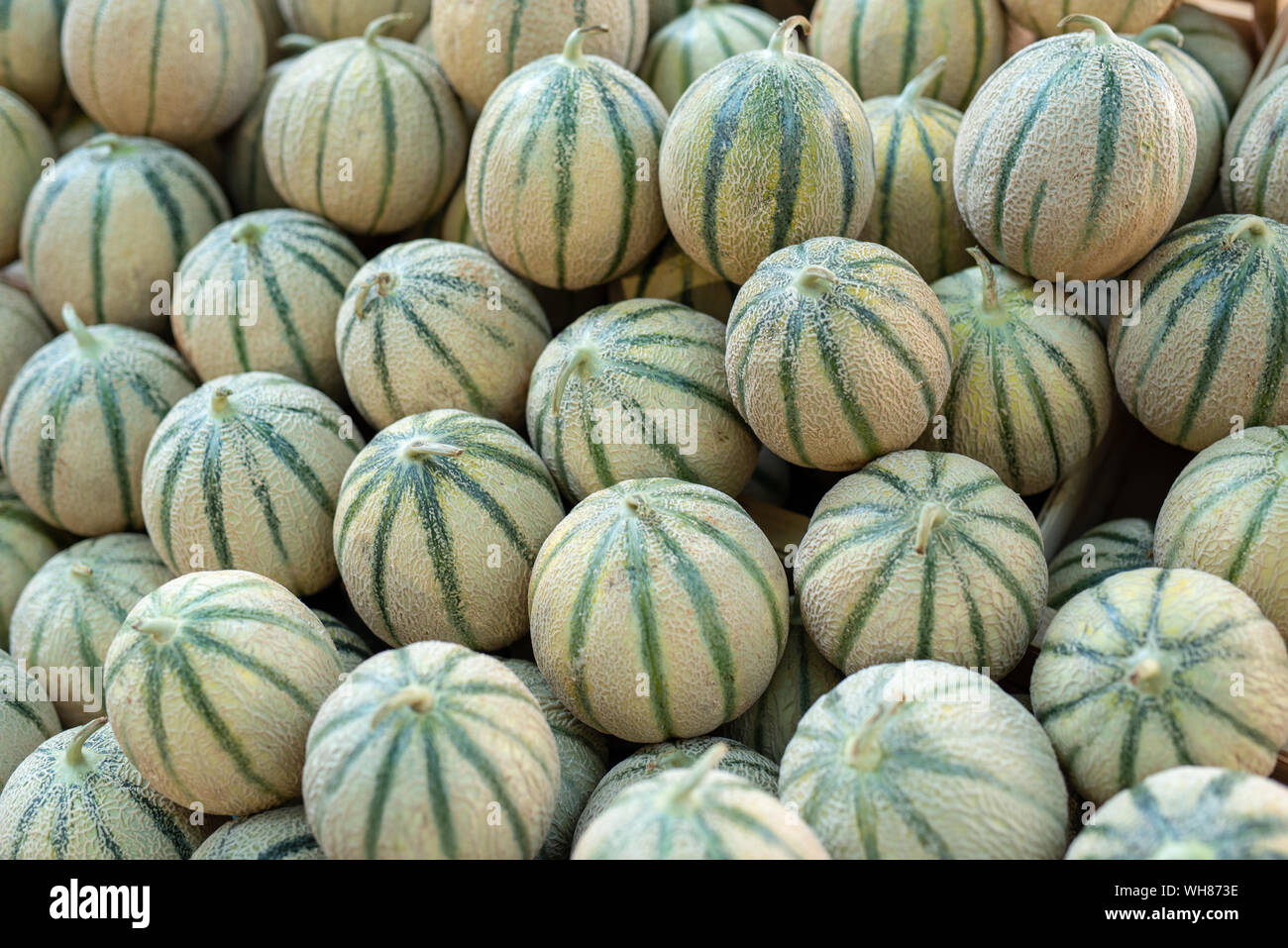 Ripe melon on street market Stock Photo - Alamy