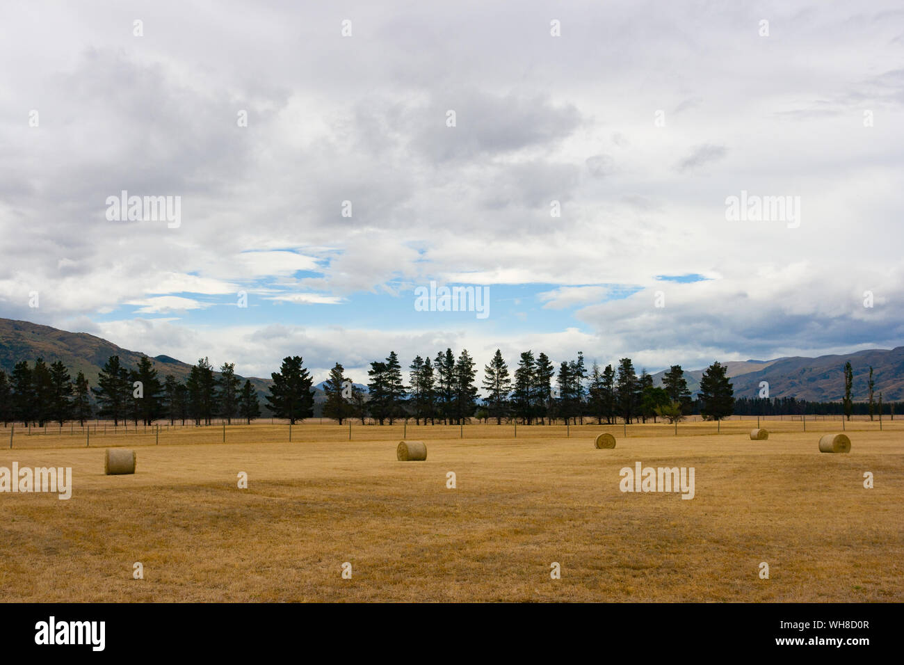 Hay bales and farming near the famous Lindis Pass in central Otago on ...