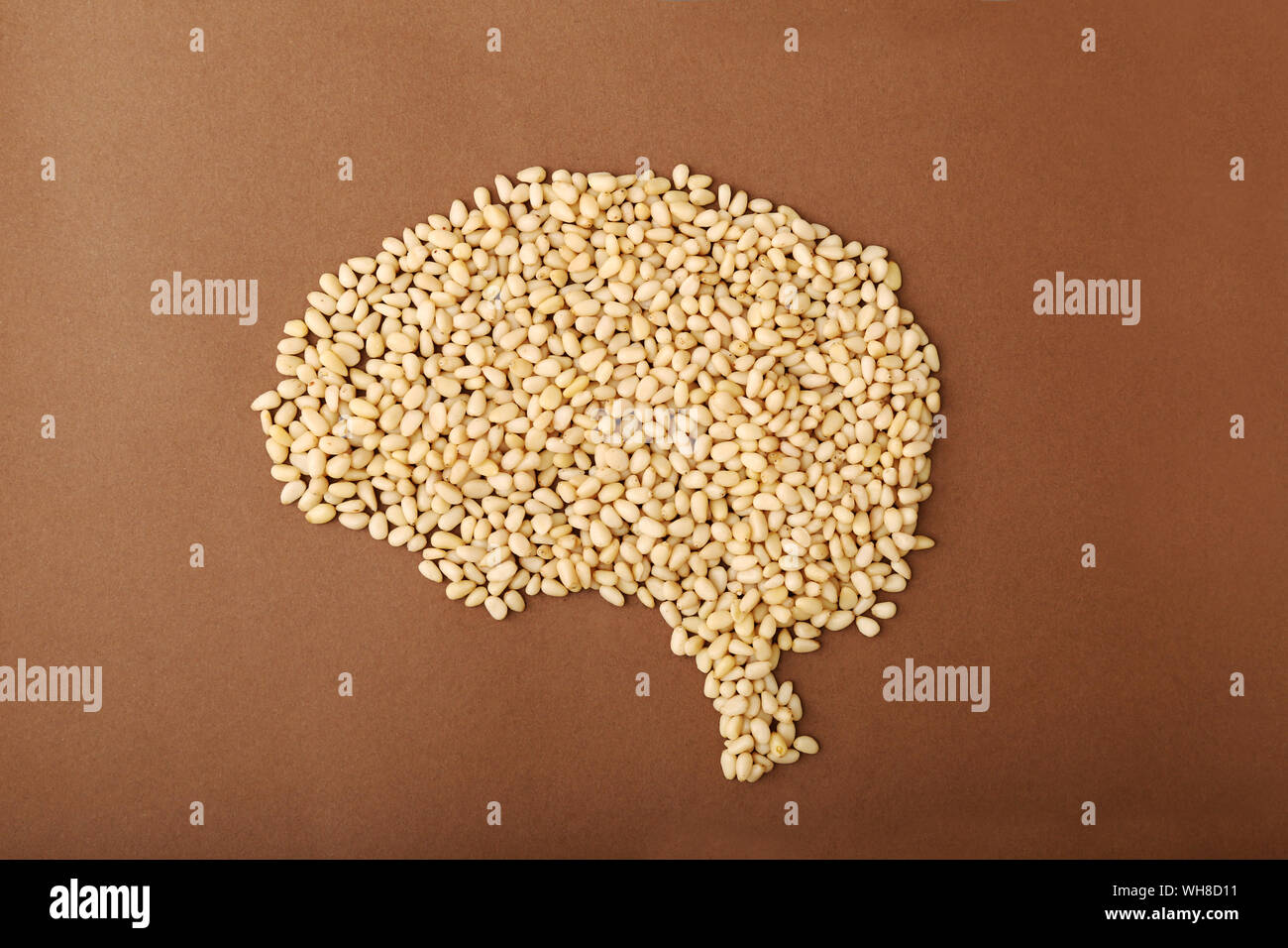 Human brain is made of pine nuts on a broun background. Concept of ...