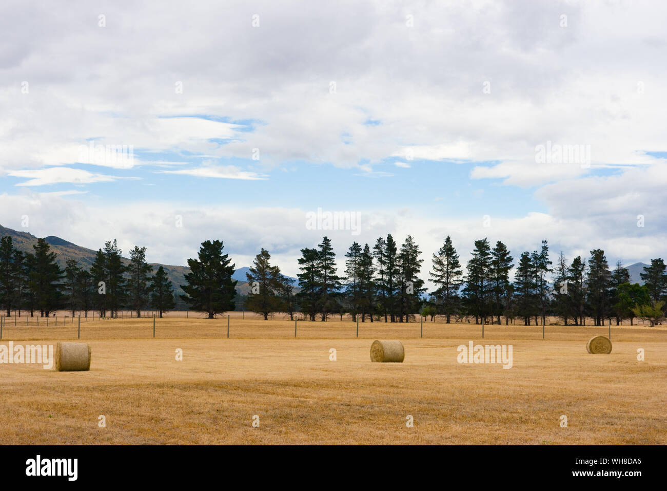 Hay bales and farming near the famous Lindis Pass in central Otago on ...