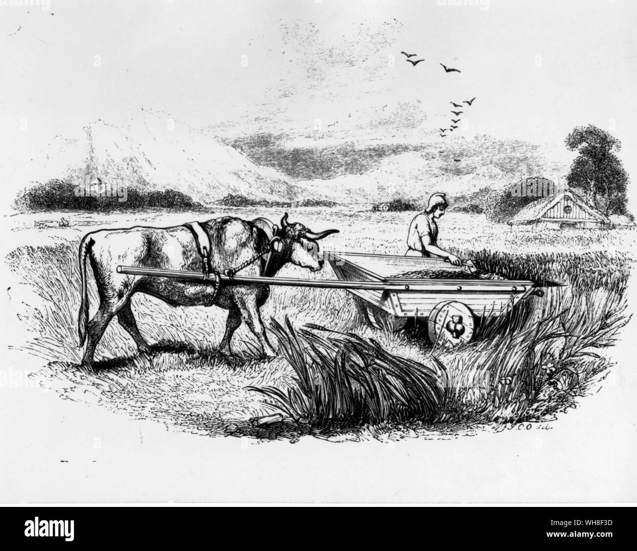 Reaper farm hi-res stock photography and images - Alamy