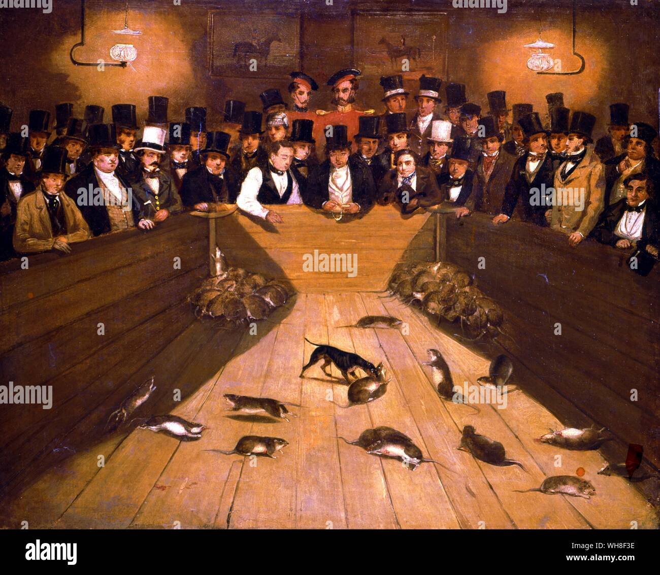 Rat Catching at the Blue Anchor Tavern (Anon) 1850, The Rodent Criminal ...