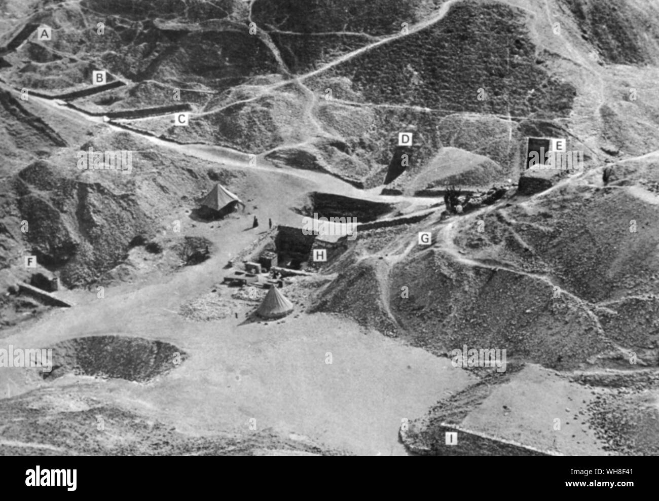 Queen Tiye High Resolution Stock Photography and Images - Alamy