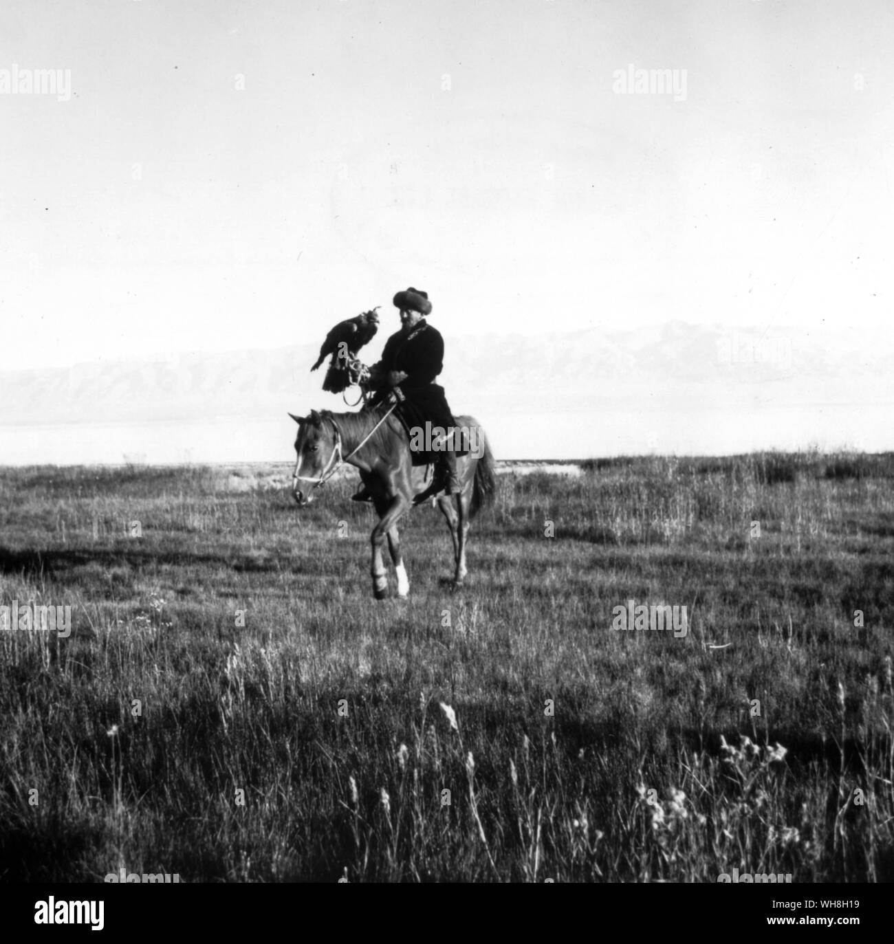 Lokai horses hi-res stock photography and images - Alamy