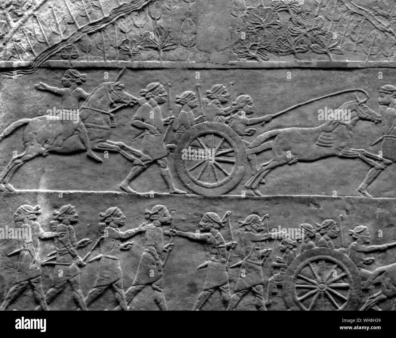 Elamite Black and White Stock Photos & Images - Alamy