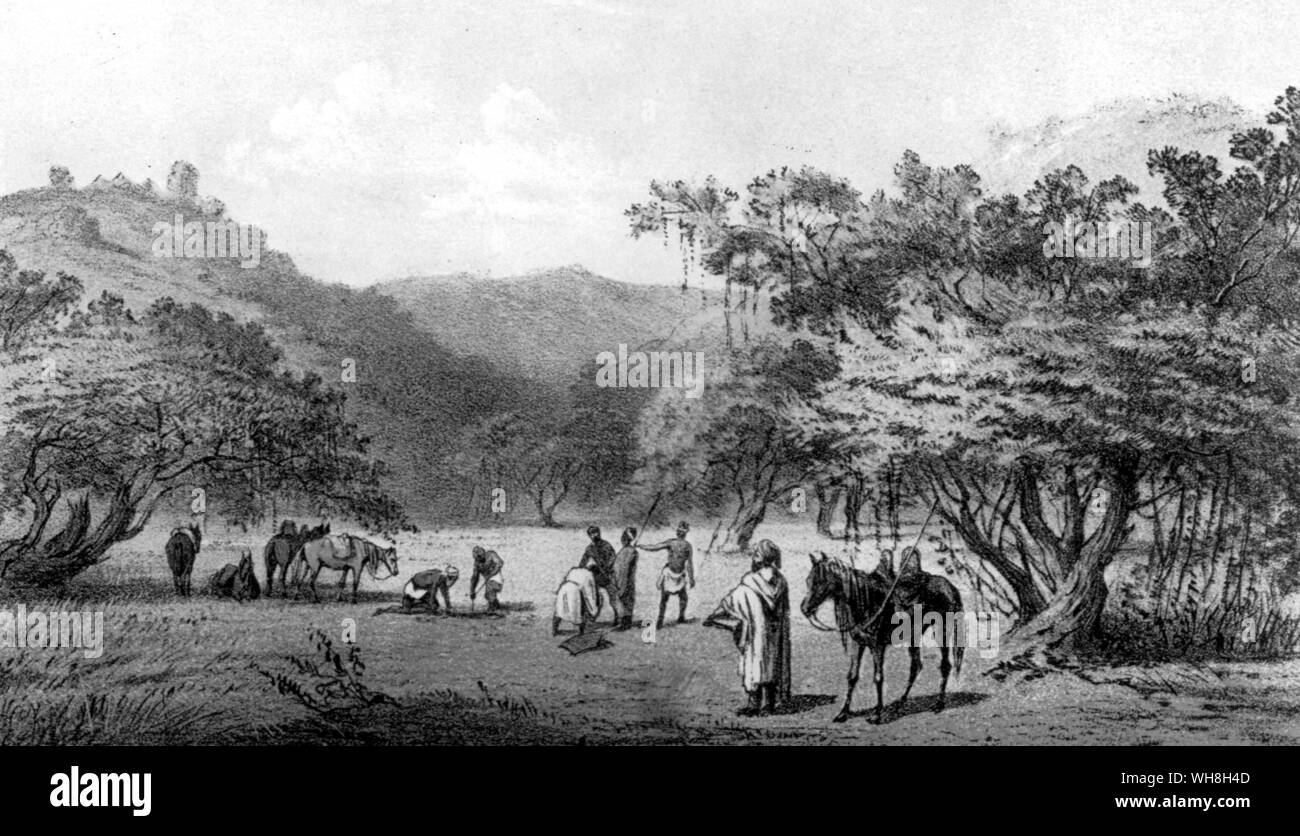 First Black Explorer