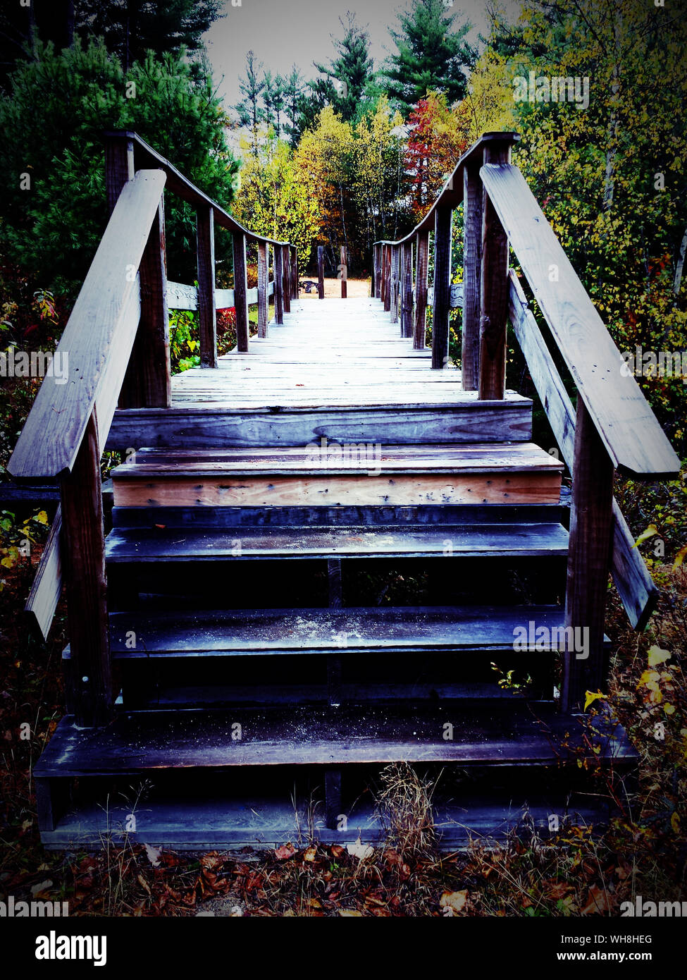 Stairs of wooden footbridge hi-res stock photography and images - Alamy