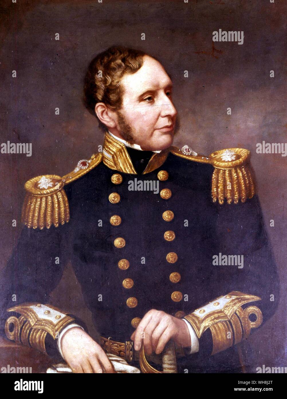 Beagle profile hi-res stock photography and images - Alamy