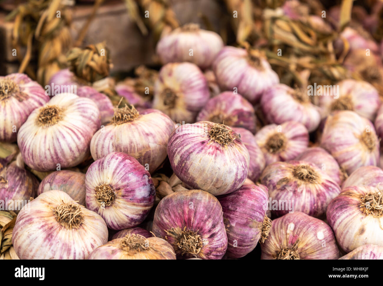 Garlic street hi-res stock photography and images - Alamy