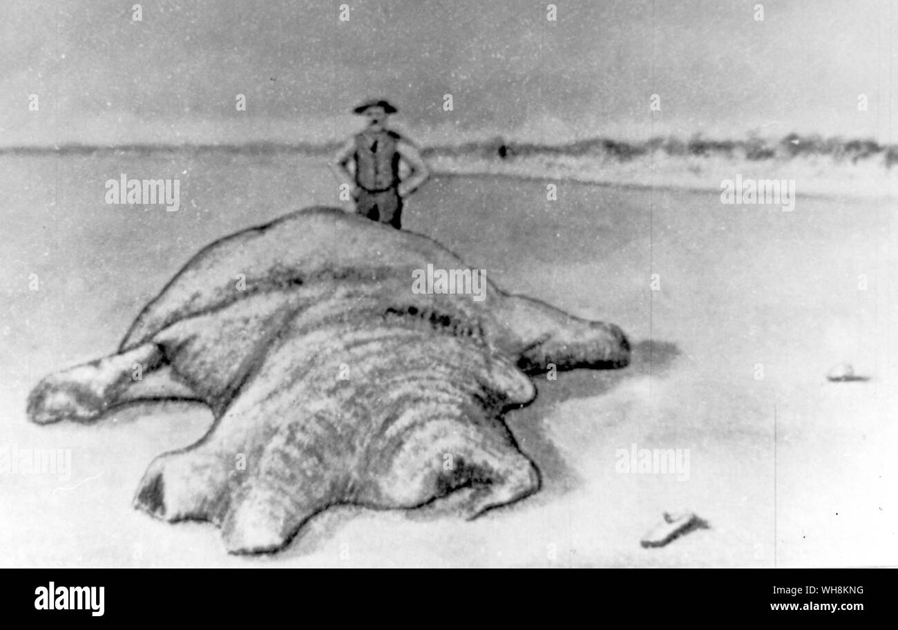 View photograph Black and White Stock Photos & Images - Alamy