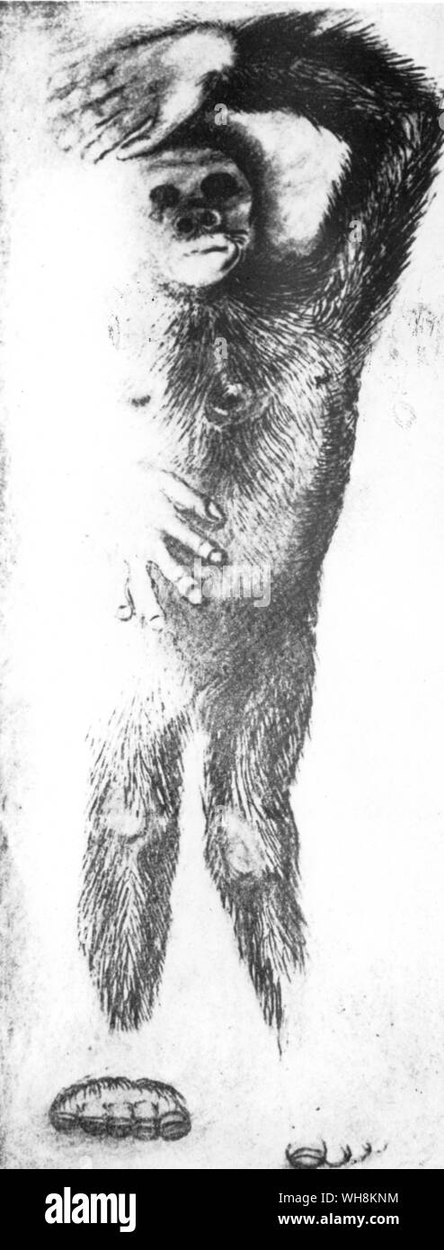 The Minnesota Ice Man Stock Photo - Alamy