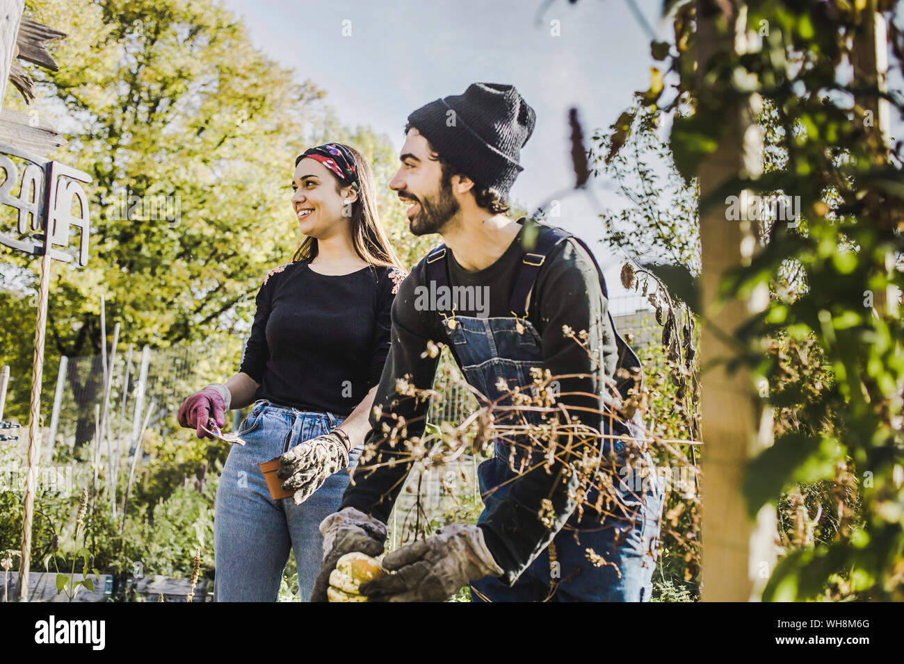 Garding hi-res stock photography and images - Alamy