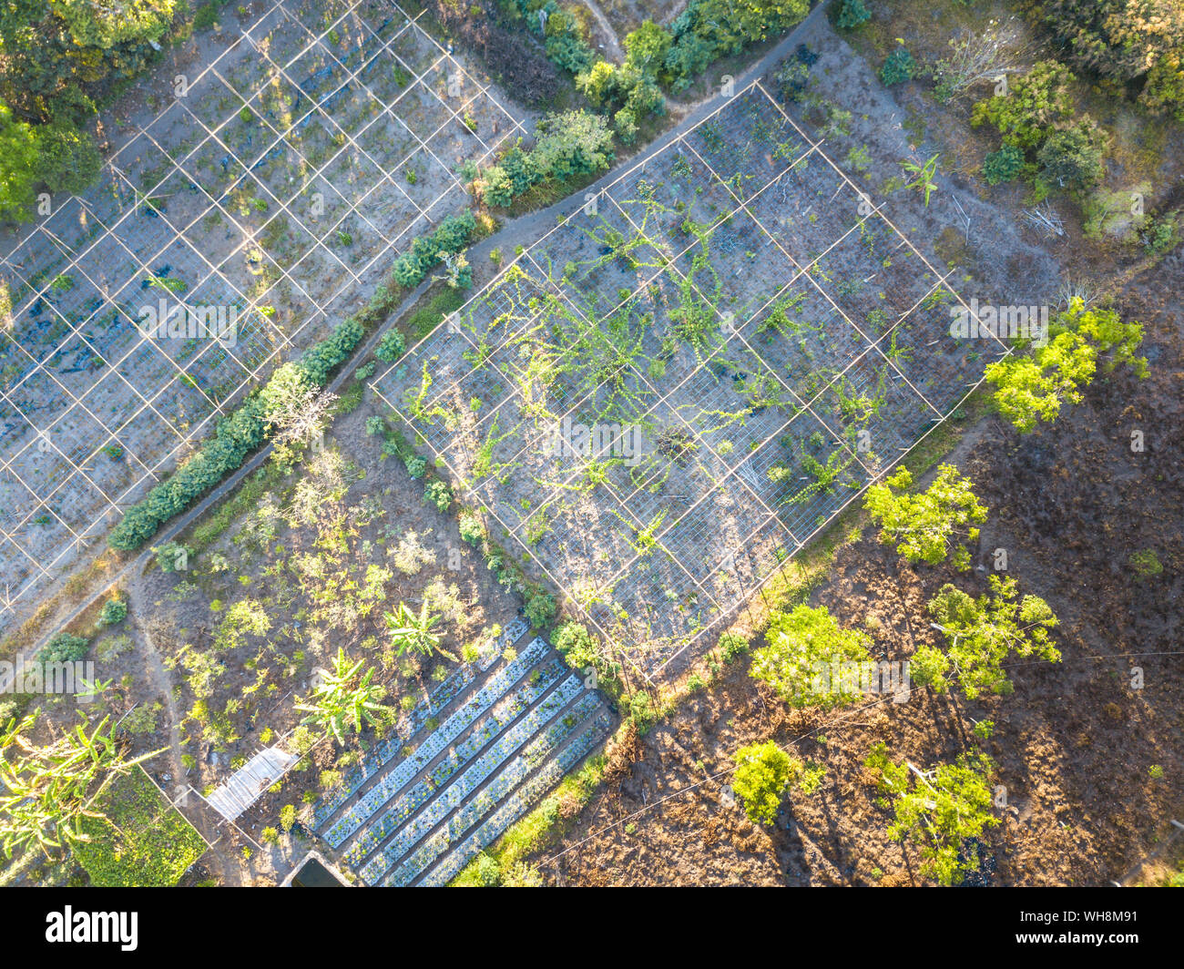 Field drone view hi-res stock photography and images - Alamy