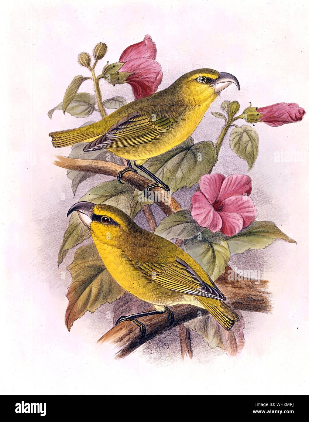 Male an female Cut Out Stock Images & Pictures - Alamy