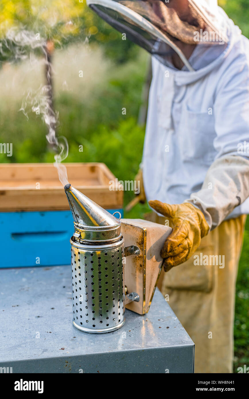 Beekeeper with honeycombs and smoker Stock Photo - Alamy