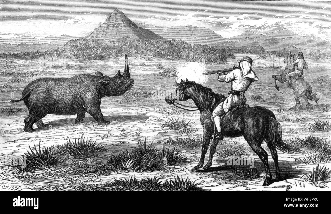 Tributaries hi-res stock photography and images - Alamy