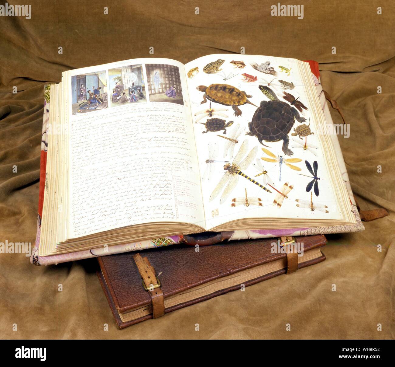 Gordon smiths hi-res stock photography and images - Alamy